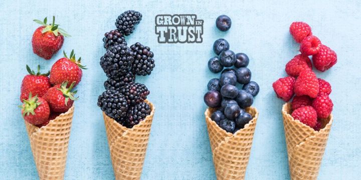 Berries: The Cure for the Common Sweet Tooth (Recipe) – Thomas Fresh