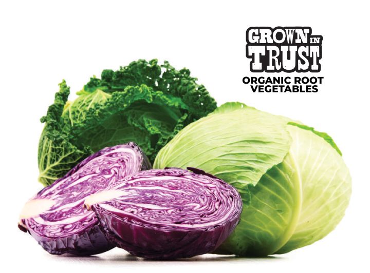 ORGANIC ROOT VEGETABLES – Thomas Fresh